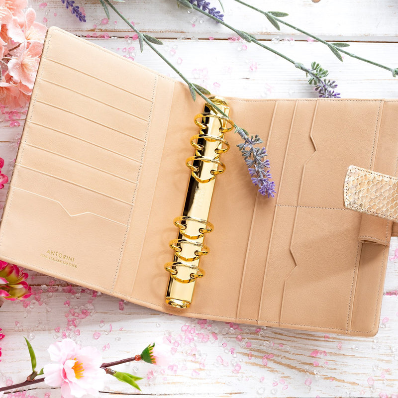 butterfly ring binder